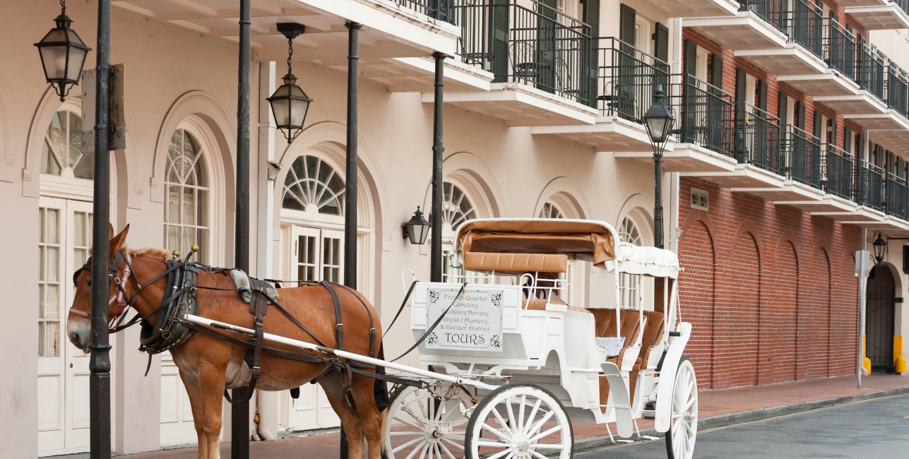 Rails to the Bayou and Texas | Railbookers®