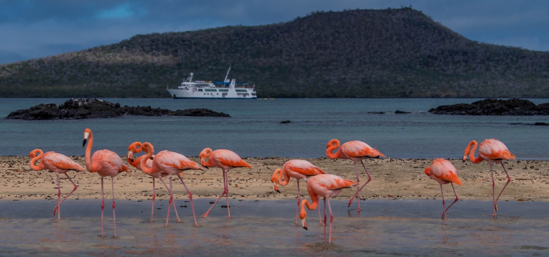 Cruise Ships: Yacht Isabela II | Railbookers®